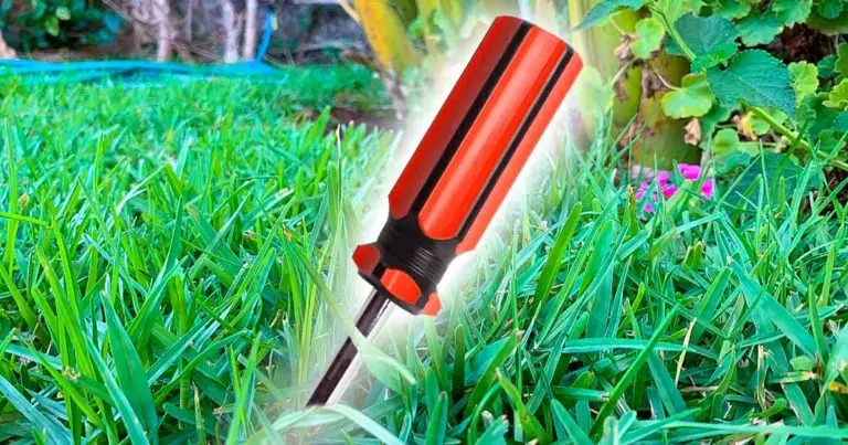Why is it advisable to stick a screwdriver in the lawn? – The Beginners ...