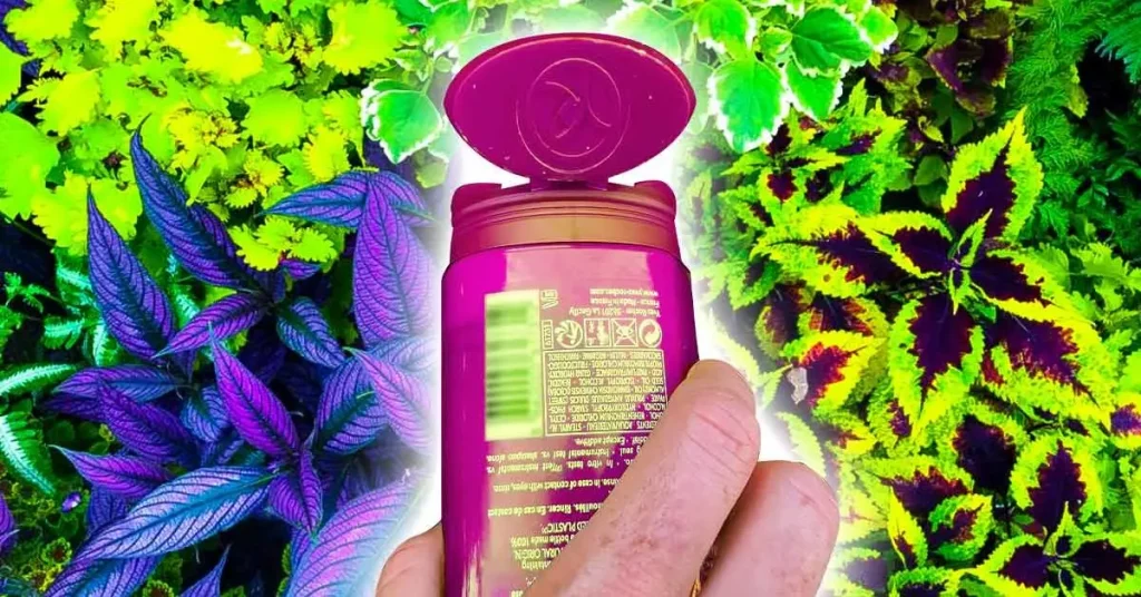 Why should you put conditioner on your plants? – The Beginners Garden