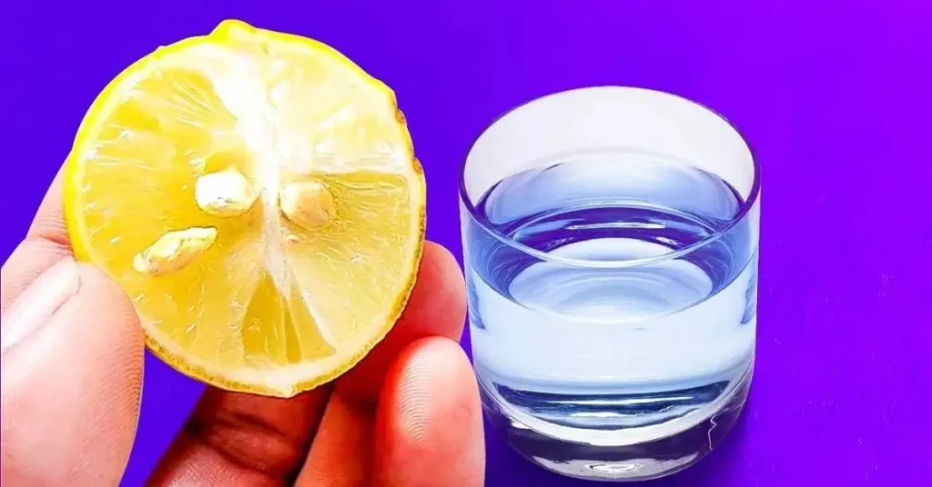 Why should you put a lemon seed in a glass of water? – The Beginners Garden