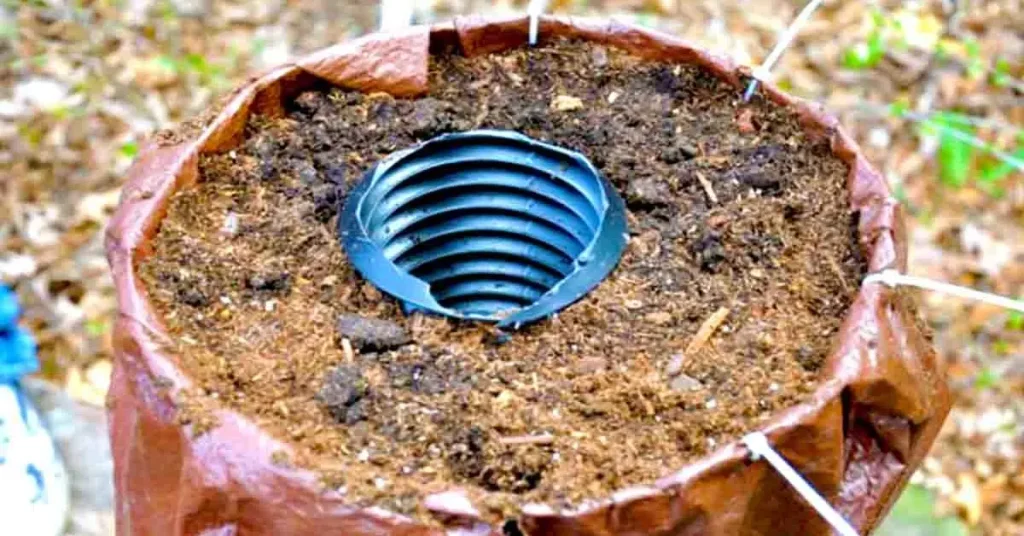 Burying a plastic tube in the ground is a good idea to have lush plants ...