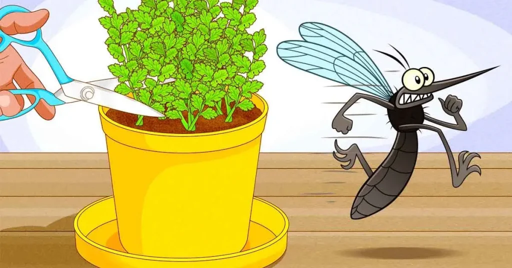 Spring Shield: 3 Repellent Plants to Cultivate for Natural Pest Control ...