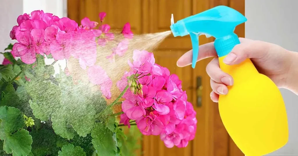 Natural Defense: Eliminating Ants and Mealybugs that Plague Your Plants ...