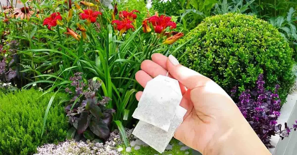 Planting Used Tea Bags in the Garden Solves the Biggest Garden Problems ...