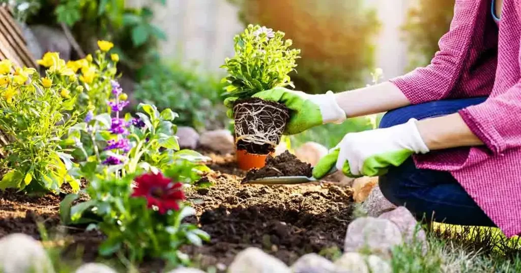 March Spice Garden: Choosing the Right Spices to Plant This Month – The ...