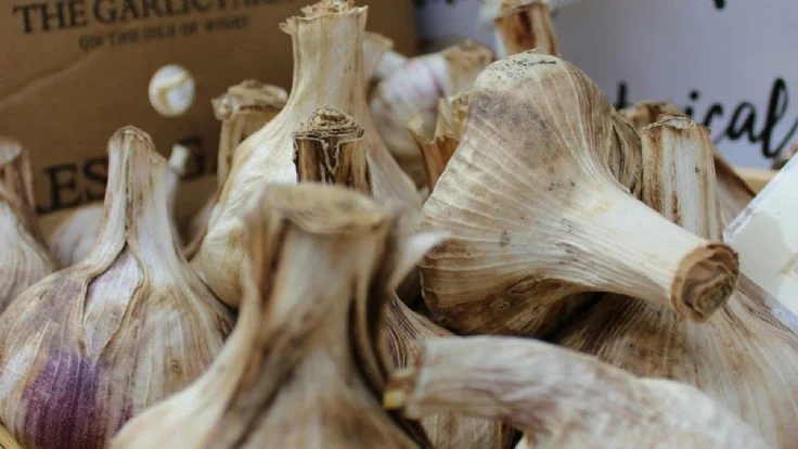Unlock the Power of Garlic Peels: A Secret Weapon for Your Garden – The ...