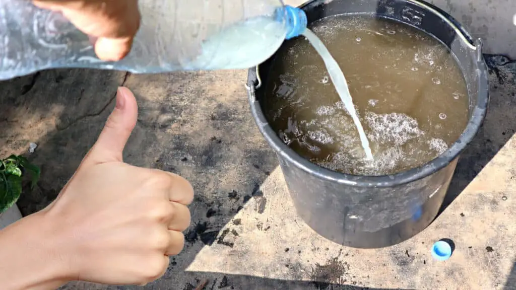 Boost Your Harvest: Fertilizing Plants with Kefir – The Beginners Garden