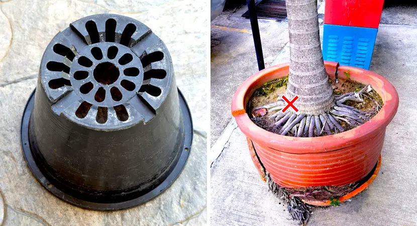 5 Things to Avoid in Your Plant Pots – The Beginners Garden