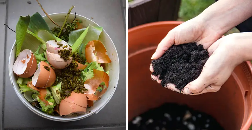 How to Make Compost at Home Easily – The Beginners Garden