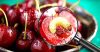 How to Detect if Cherries Are Infested with Worms Before Eating Them ...