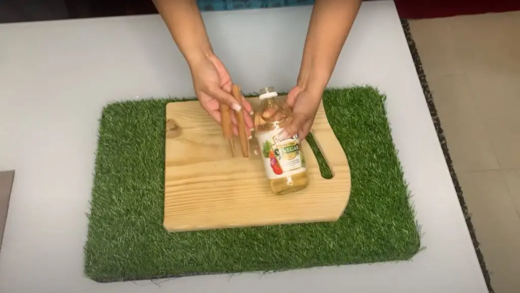 Instantly Drive Away Any Insect with This Delicious-Smelling Mixture ...