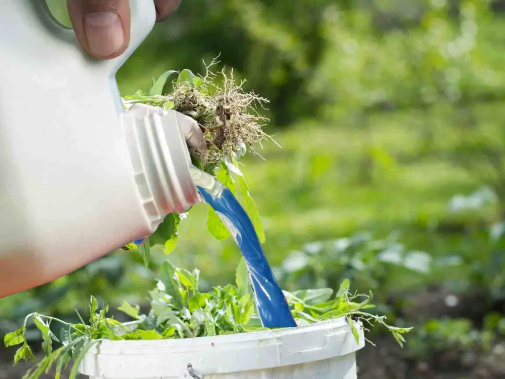 🌿 Using Bleach to Kill Weeds in Your Garden – A Surprising Trick! – The ...