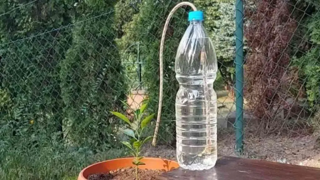 🚿 DIY Shower Irrigation System: Just a Bottle and a String! – The ...